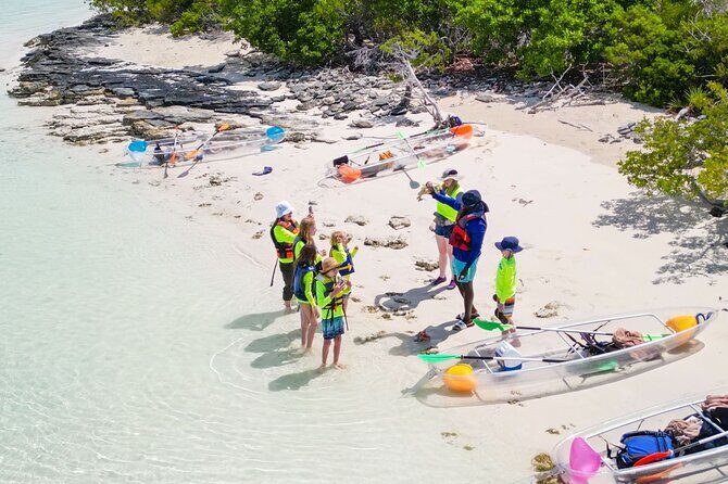 3HR Clear Kayak Mangrove and iguana island Tour in Leeward - Value and Practical Tips