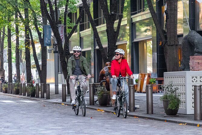 3hr Private E-bike Tours in Tokyo, Starting at your hotel - Key Points