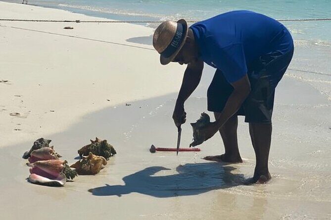 3hr Seaside Scavenger hunt - Key Points