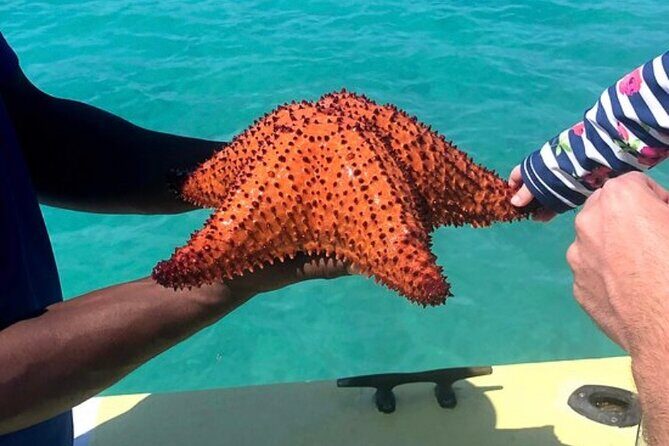 3hr Seaside Scavenger hunt - The Sum Up