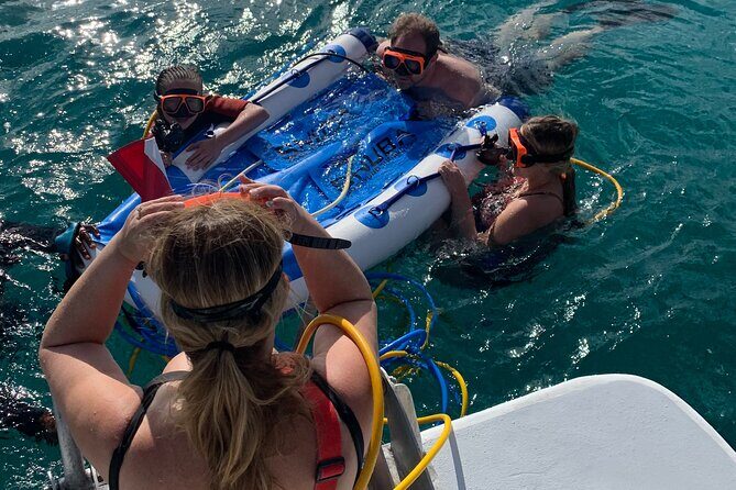 3HR Snuba, shipwreck and Iguana island tour - Introducing the 3HR Snuba, Shipwreck, and Iguana Island Tour