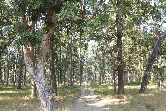 3Nights 4Days Bardiya Tiger Tracking Tour on Foot - All Inclusive - Final Thoughts