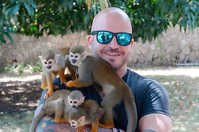 3X1 Adventure Waterfalls, Monkeys & Buggies In Puerto Plata - Key Points