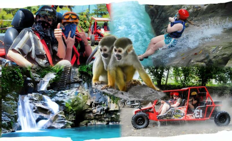 3x1: Monkeyland Damajagua Falls & Buggy Tour Puerto plata - Exploring the Full-Day Adventure in Puerto Plata