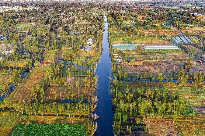 3X1 Tour in Xochimilco UNAM and Coyoacan - FAQs about the 3X1 Tour in Mexico City