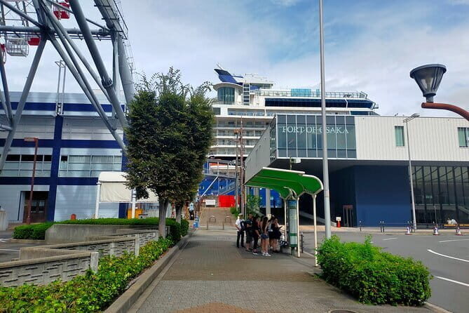 4/5/6 Hours Private Osaka Tour Designed for Cruise Passengers - Key Points