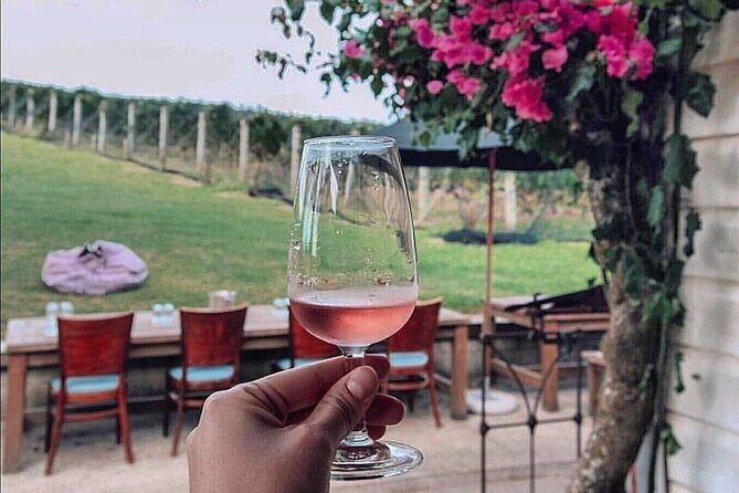 4.5-Hour Scenic Wine Tour with Private Guide & Up to 12 Tastings - Why This Tour Stands Out