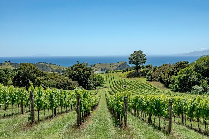 4.5-Hour Scenic Wine Tour with Private Guide & Up to 12 Tastings - Authentic Experiences and Hidden Gems