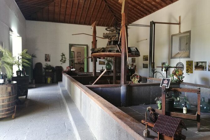 4.5 hours Private tour, the best and highlights of Gran Canaria. - Who Should Take This Tour?