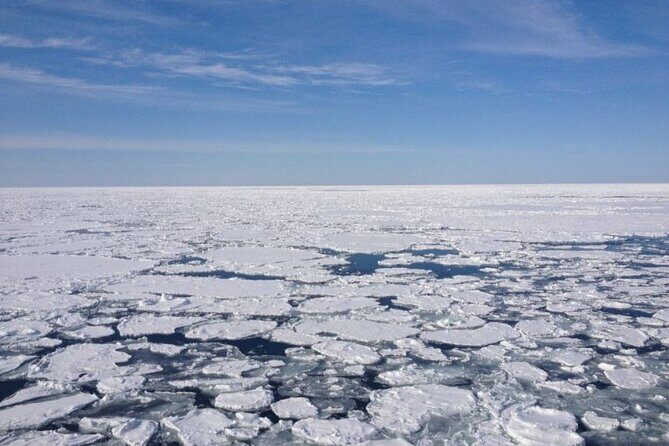 4.5 hours Snowshoe hike in Shiretoko five lakes - Setting the Scene: Winter in Shiretoko