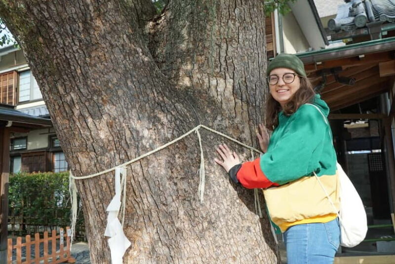 4.5-hr Kyoto Historical Highlights Bike Tour with UNESCO - Engaging Introduction
