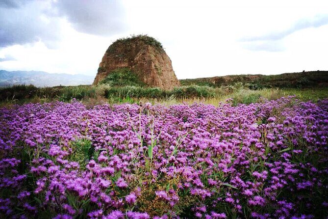 4-8 hours Private Datong Great Wall Tour - The Sum Up: Who Will Love This Tour?