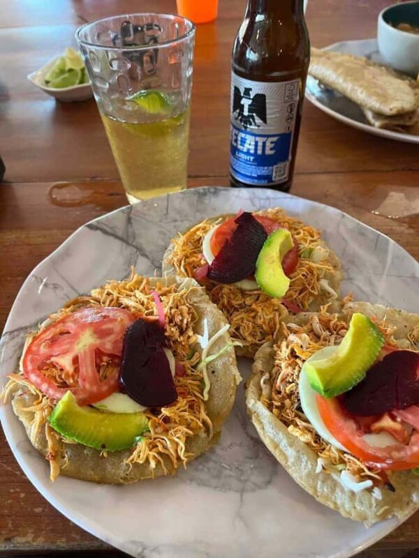 4 Cenotes with Bike, Lunch, Guide, and Pickup from Mérida - Final Thoughts