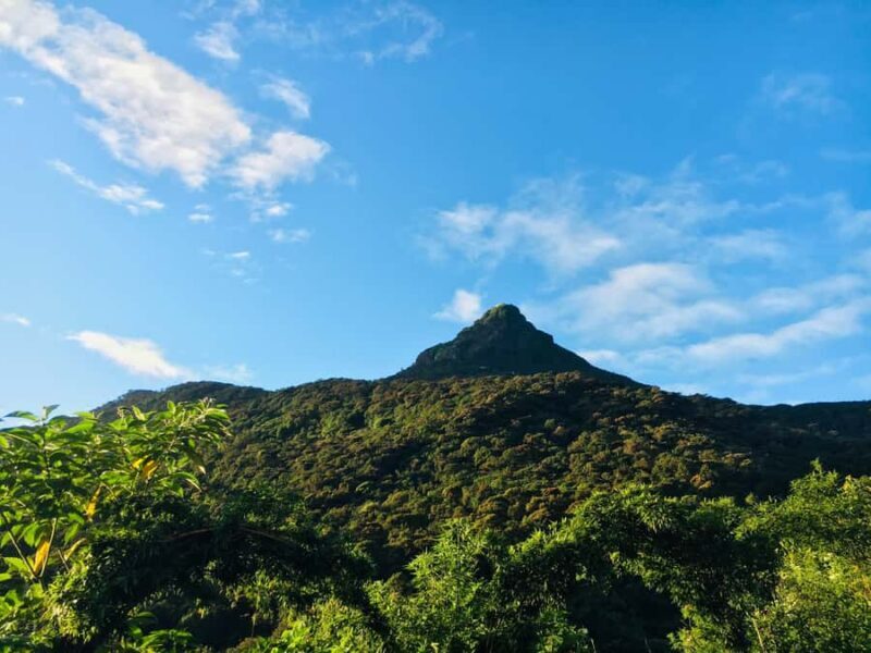 4-Day Adam's Peak climb & explore tea plantation with Hotels - Who This Tour Is Best For