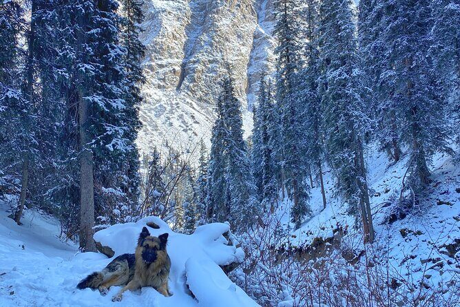 4 Day Adventure around Issyk Kul lake - The Sum Up