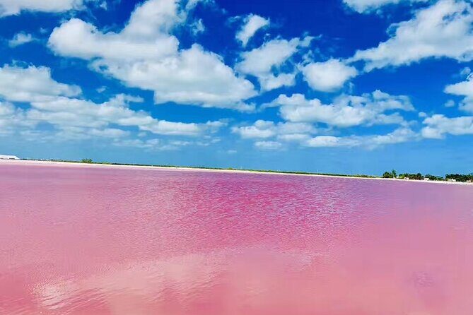 4 Day Adventurous Tour Vacation in Cancun - Key Points