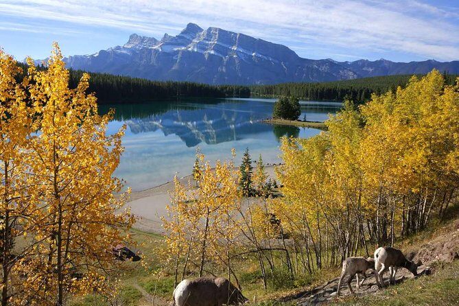 4-Day Banff, Lake Louise, Jasper, Icefield Packaged Tour - Key Points