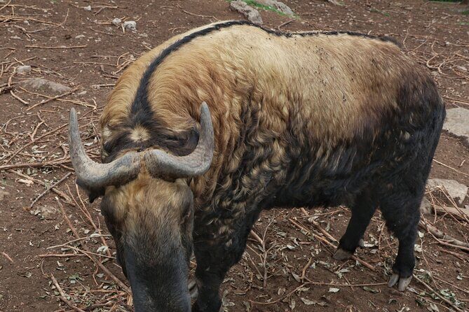 4 Day Bhutan at Glance - The Sum Up