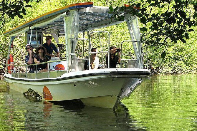 4 Day Cairns: Daintree Rainforest, Reef, Kuranda & Paronella Park - Final Thoughts