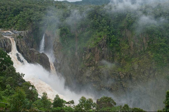 4 Day Cairns: Daintree Rainforest, Reef, Kuranda & Paronella Park - FAQ