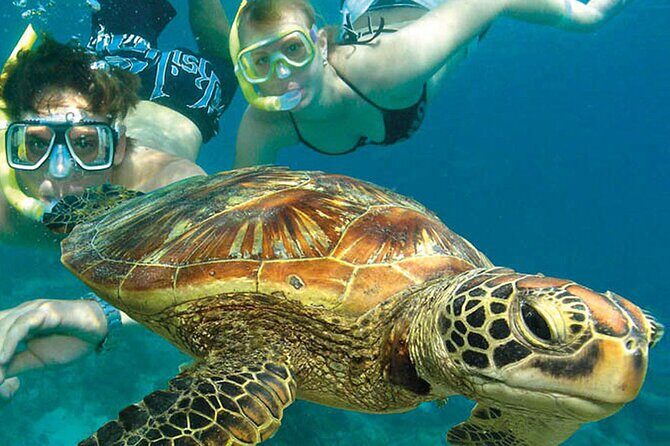 4-Day Cairns with Great Barrier Reef and Daintree Rainforest - Who Is This Tour Best For?