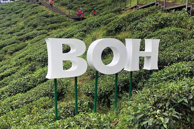 4-Day Cameron Highland and Penang Tour from Kuala Lumpur - FAQ