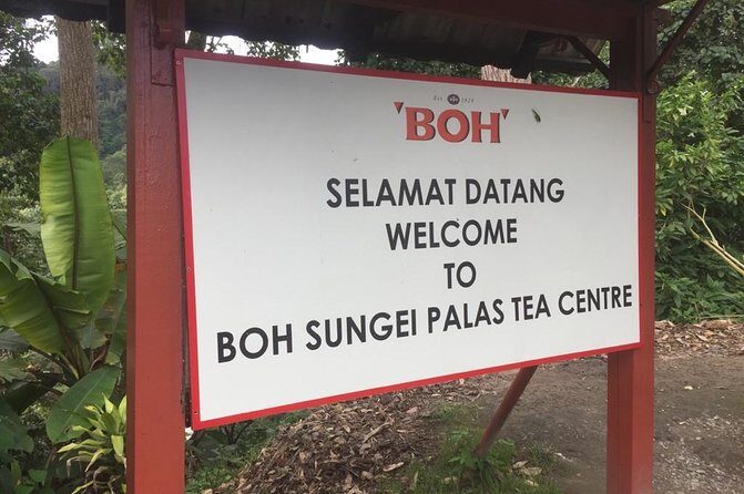 4-Day Cameron Highland and Penang Tour from Kuala Lumpur - Final Thoughts