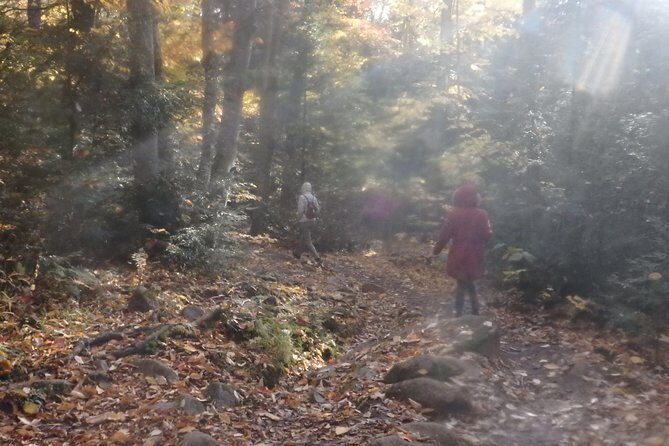 4-Day Canadian Camping Road Trip ("Moose On The Loose") - FAQ