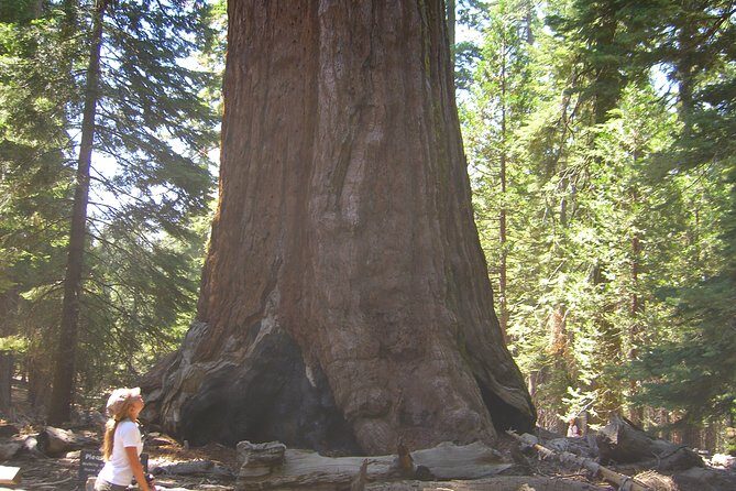 4 Day Death Valley, Yosemite, San Francisco from Las Vegas Camp or Lodge - Additional Details: What’s Included and What’s Not