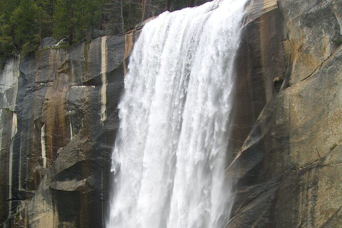 4 Day Death Valley, Yosemite, San Francisco from Las Vegas Camp or Lodge - What the Reviews Say