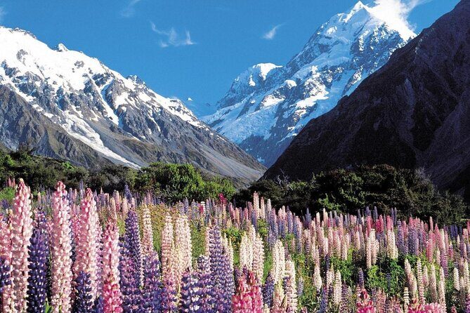 4-Day Great Southern Island Circle Tour from Christchurch - Authentic Insights from Travelers