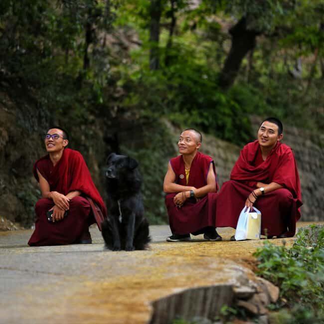 4 Day Guided Tour From Monasteries to Forts in Dharamshala - Who Is This Tour Best For?