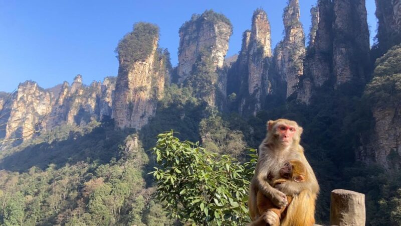 4-Day Highlights of Zhangjiajie With Sunrise Experience - FAQ