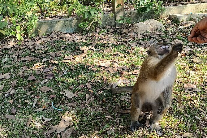 4 Day Jakarta Crater Green Canyon and Volcano Private Guided Tour - Who will love this tour?