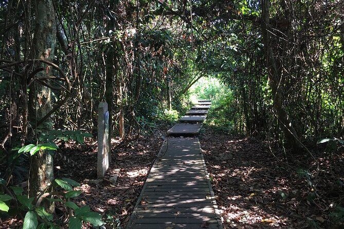 4-Day Jungle Experience in Taman Negara from Kuala Lumpur - An In-Depth Look at the 4-Day Taman Negara Jungle Tour