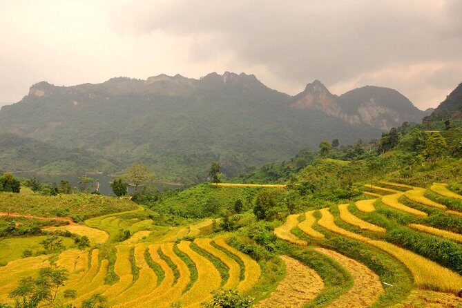 4-Day Jungle Trekking in Ba Be National Park - A Thorough Look at the 4-Day Ba Be Trekking Tour