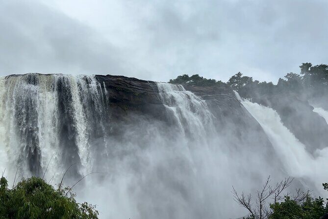 4 Day Kerala Tour Athirappilly Munnar Alleppey - Deep Dive Into Each Stop