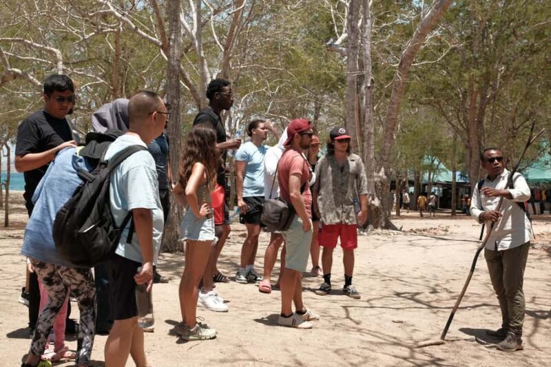 4-Day Komodo Island Adventure: Dragons, Snorkeling & Hiking - Transportation, Group Size, and Value