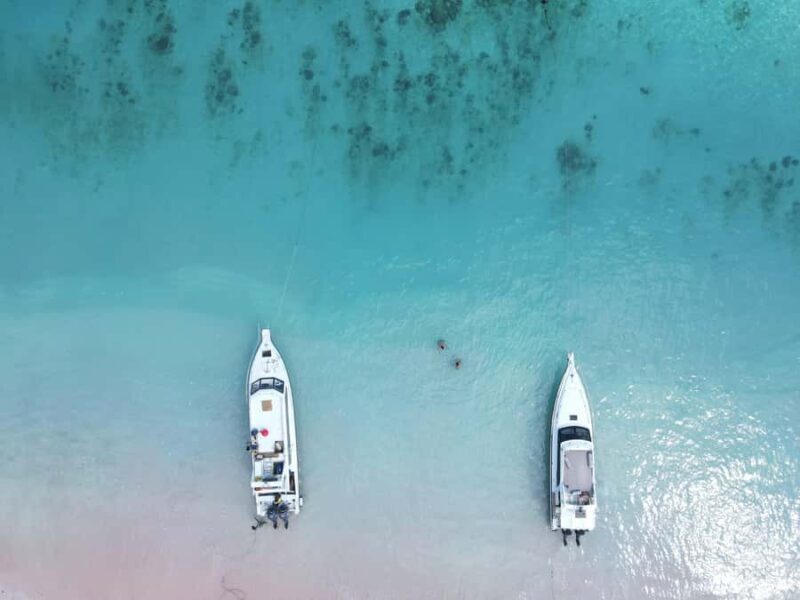 4-Day Komodo Island Adventure: Dragons, Snorkeling & Hiking - What Reviewers Say