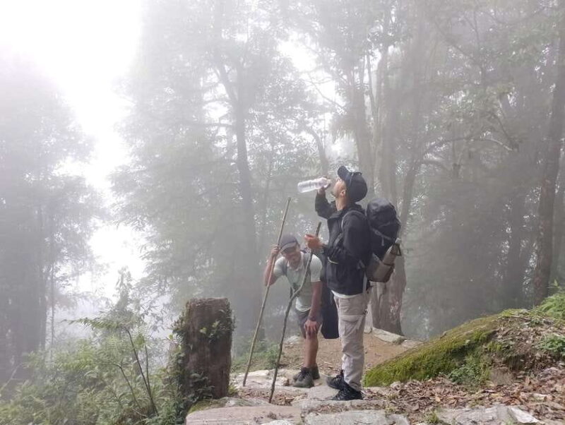 4 Day Mardi Himal Trek with 2 Day Chitwan Jungle Safari Tour - An In-Depth Look at the 6-Day Journey