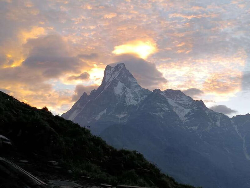 4 Day Mardi Himal Trek with 2 Day Chitwan Jungle Safari Tour - Why This Tour Stands Out