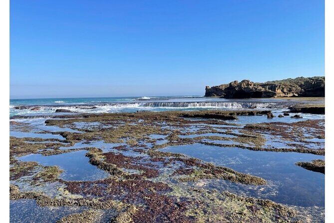 4 Day Mornington Peninsula Treks - Introduction: An Inviting Adventure Beyond Melbourne