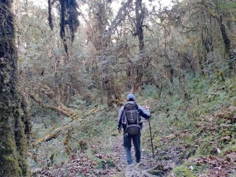 4-Day Mulde ,Poon Hill Trek Itinerary (Children-Friendly) - Introduction