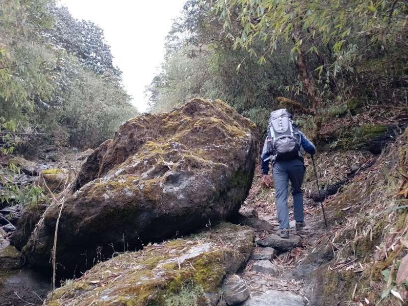 4-Day Mulde ,Poon Hill Trek Itinerary (Children-Friendly) - Analyzing the Cost & Value