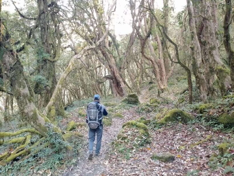 4-Day Mulde ,Poon Hill Trek Itinerary (Children-Friendly) - Final Thoughts