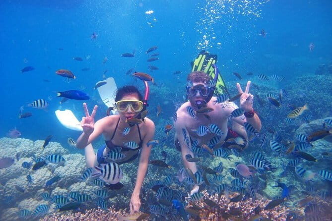 4-Day Nha Trang Scuba Diving - Authentic Experiences & Unique Opportunities