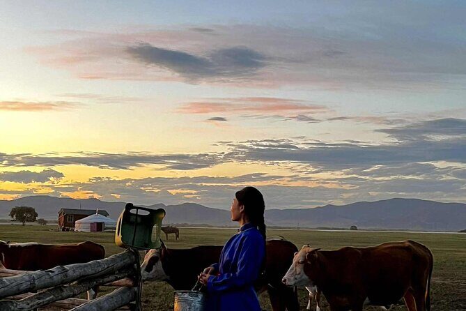 4 Day Nomadic Life Experience In Northern Mongolian - An In-Depth Look at the 4-Day Nomadic Experience
