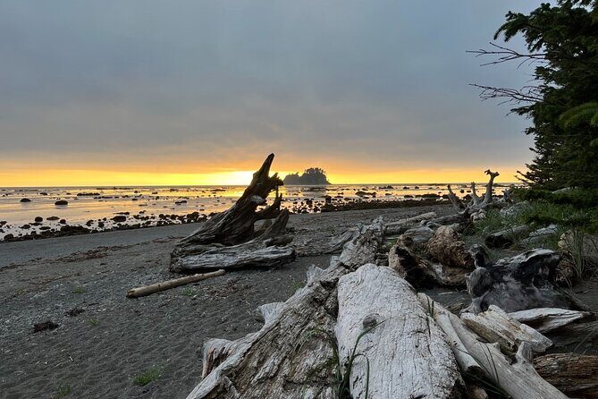 4-Day Olympic Backpacking Tour in North Coast - A Deep Dive into the Experience