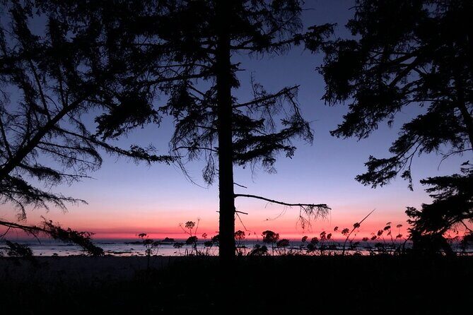 4-Day Olympic Backpacking Tour in North Coast - Why Choose This Tour?