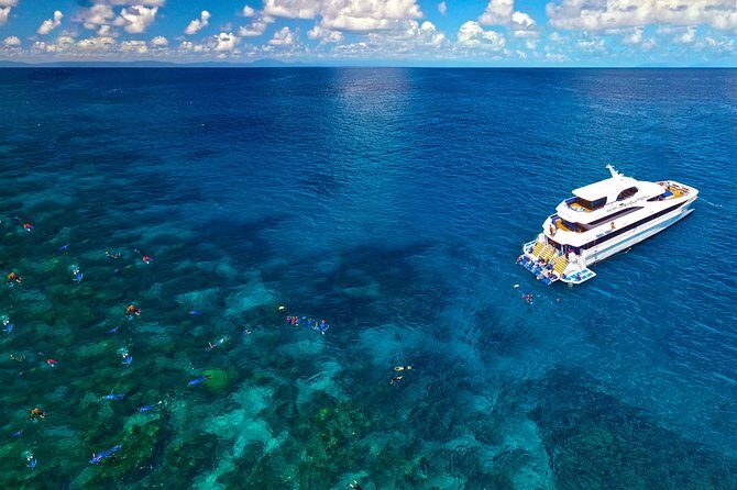 4-Day PADI Open Water Dive Course - Learn to Dive on the Great Barrier Reef - Summary of the Experience